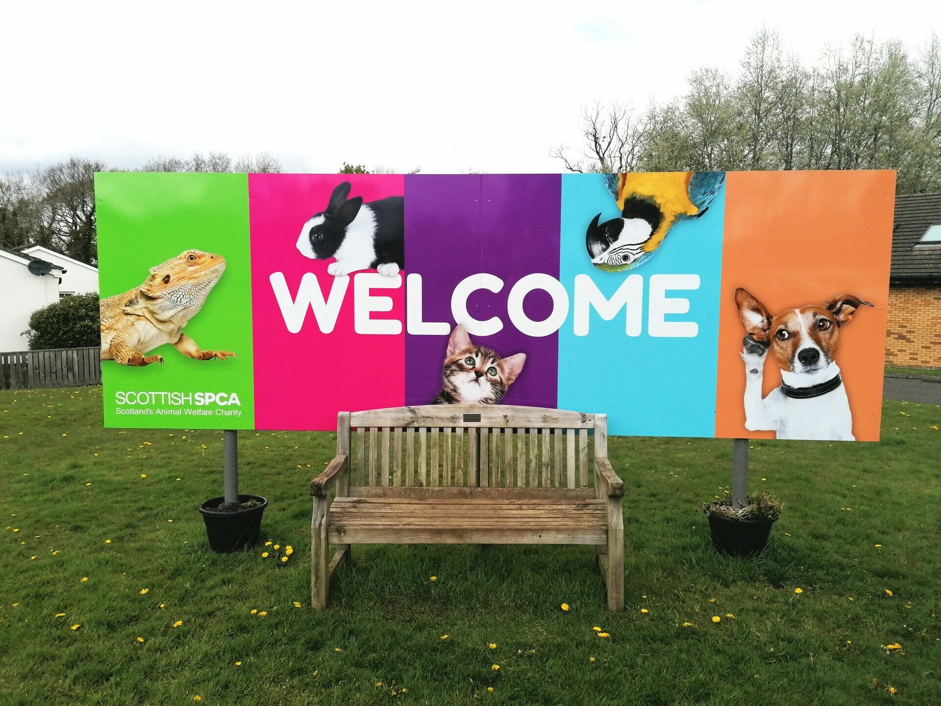 Donation to Lanakshire Animal Rescue & Rehoming Centre | Christeyns