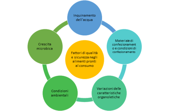 L'industria dei cibi pronti: qualità e sicurezza alimentare | Christeyns