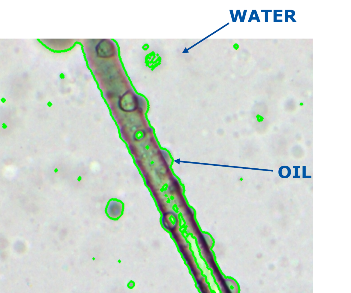 Enzymes in Textile Care | Christeyns